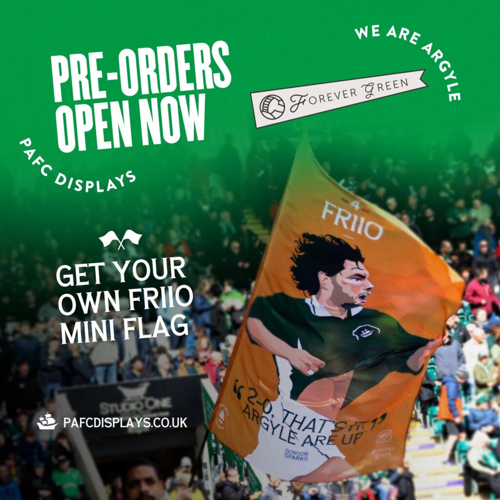 David Friio Mini Flag – PAFC Displays