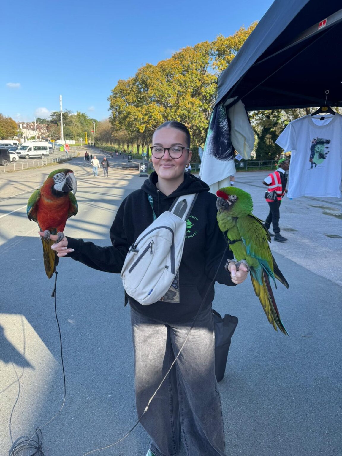 Getting to Know Sophie – PAFC Displays