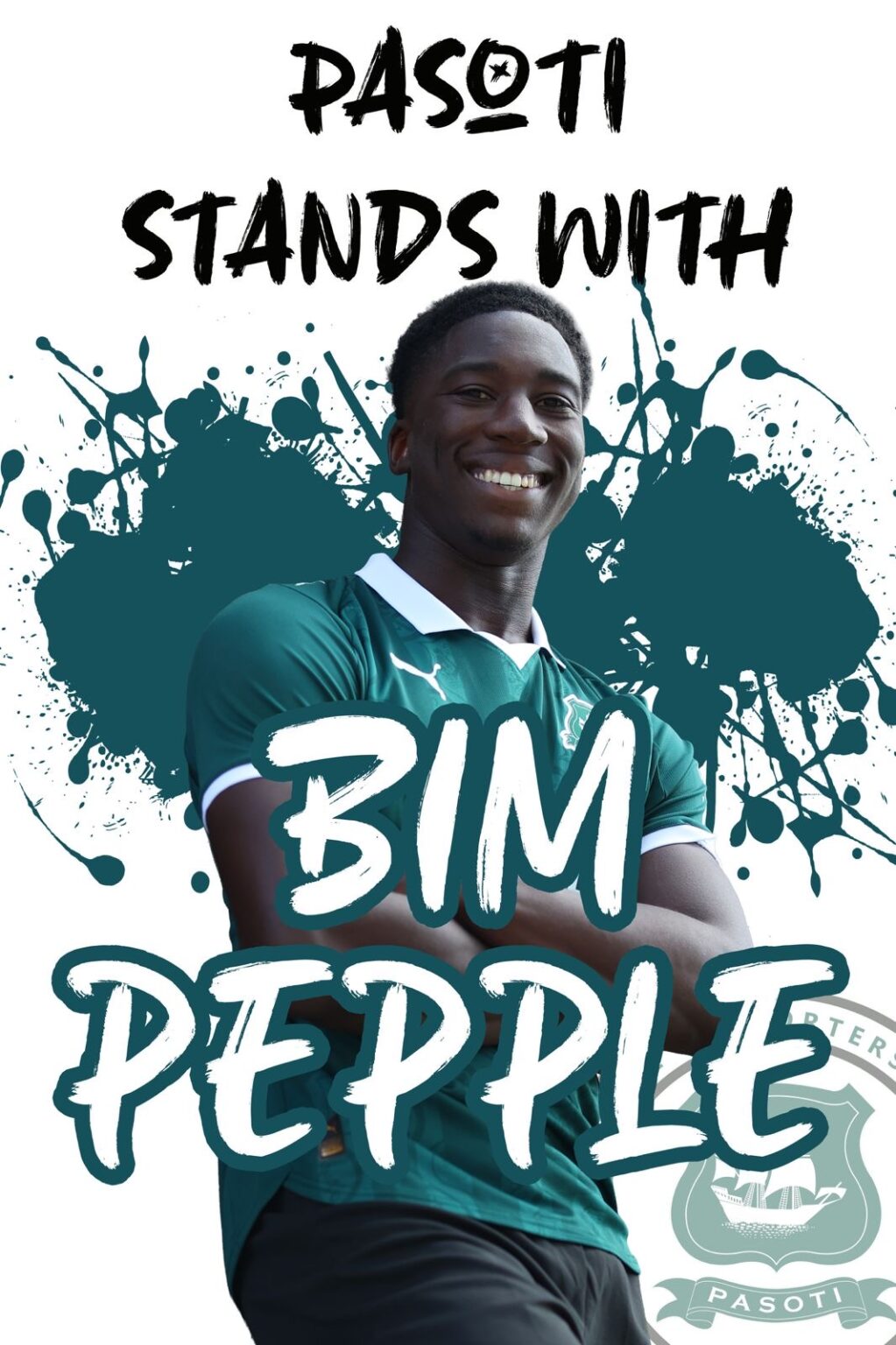 Bim Pepple Mini Flag – PAFC Displays